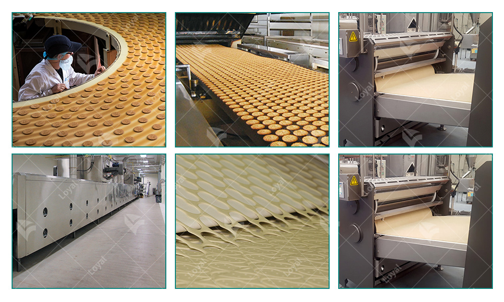 What Biscuit Line Including？ - Shandong Loyal Industrial Co.,Ltd.