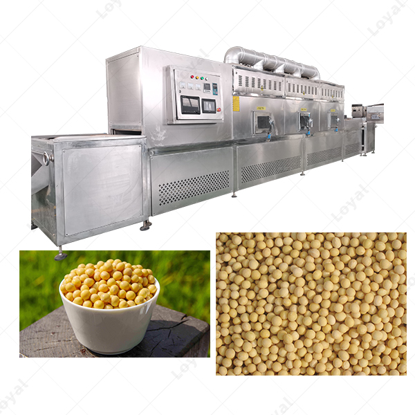 Soybeans Drying Microwave Oven - Shandong Loyal Industrial Co.,Ltd.