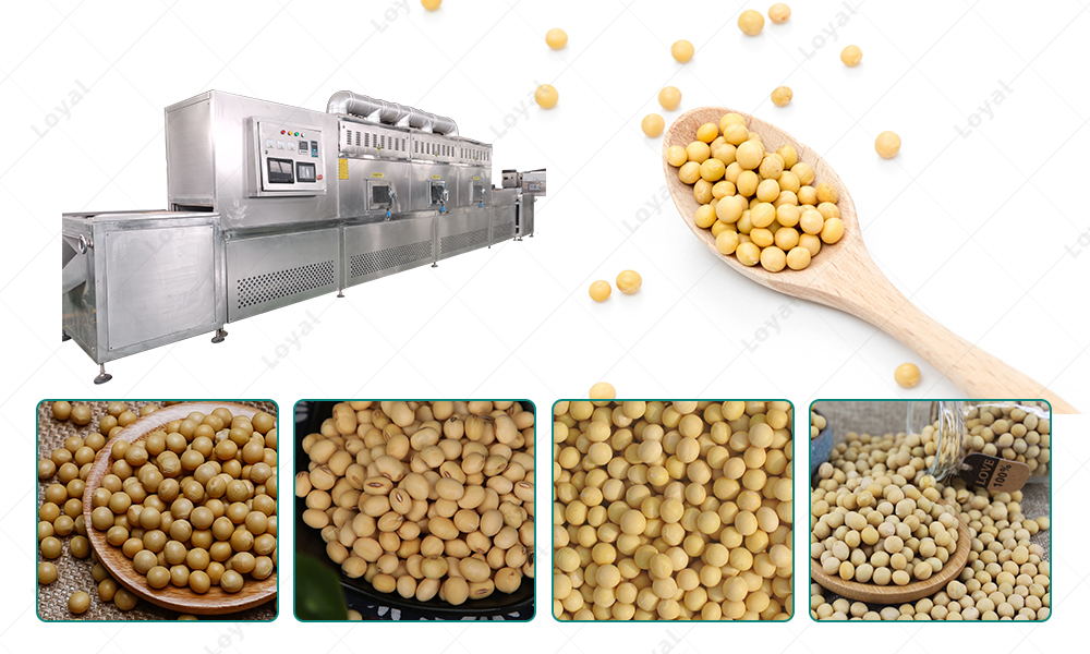 Soybeans Drying Microwave Oven - Shandong Loyal Industrial Co.,Ltd.