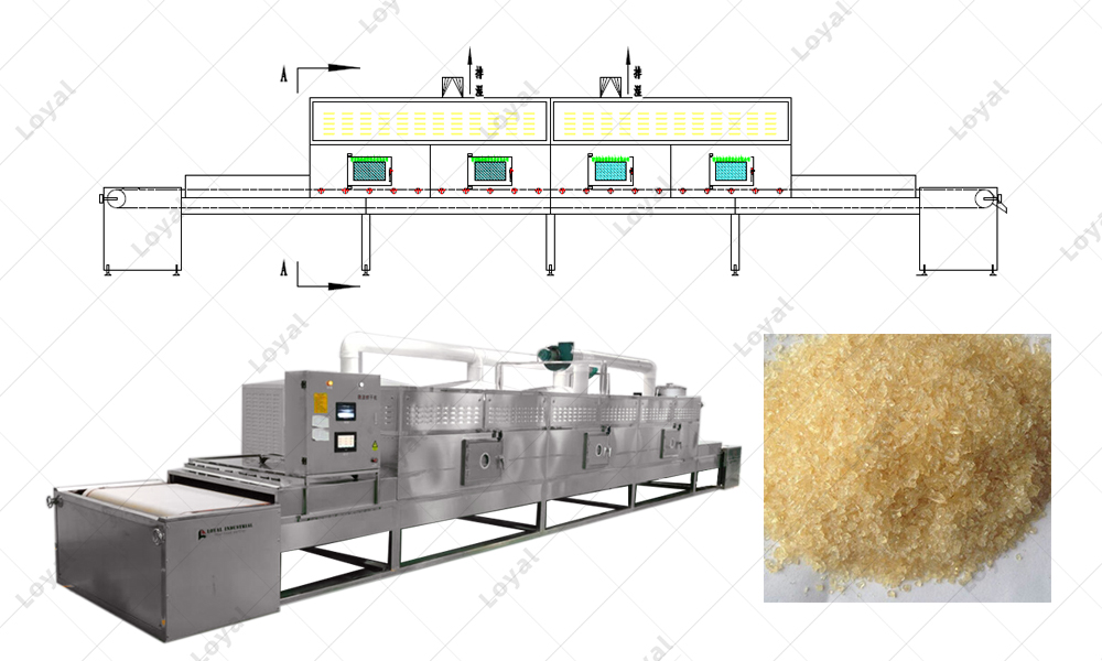 Gelatin Drying Microwave Oven - Shandong Loyal Industrial Co.,Ltd.