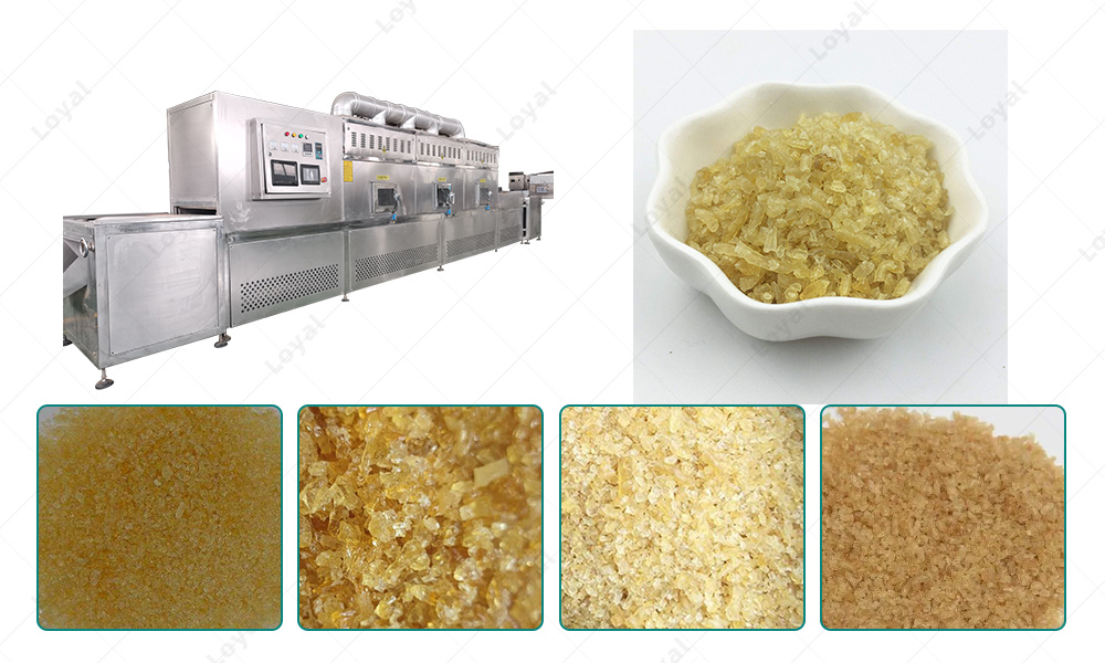 Industrial Microwave Gelatin Drying Technology - Shandong Loyal ...