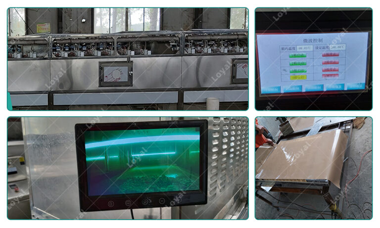 Microwave equipment drying cardboard - Shandong Loyal Industrial Co.,Ltd.