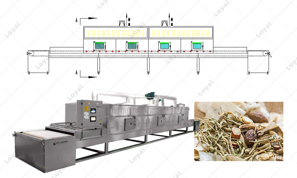 Creating excellence in cooking: Microwave cardamom dryer unveiled ...