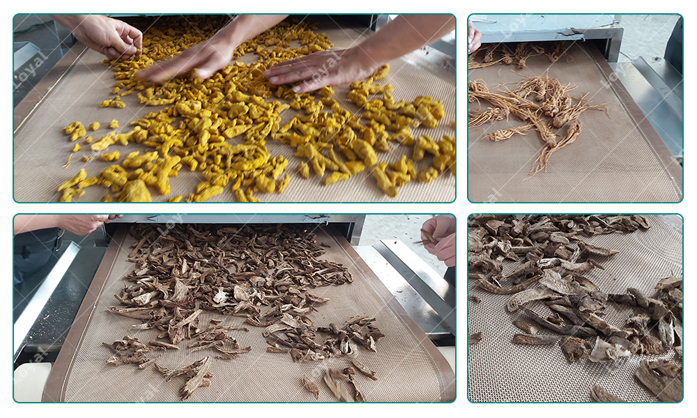 Introducing Innovation: Microwave Cardamom Dryer - Shandong Loyal ...