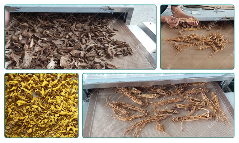 Creating excellence in cooking: Microwave cardamom dryer unveiled ...