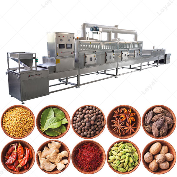 Fully automatic microwave cardamom dryer: revolutionizing spice ...